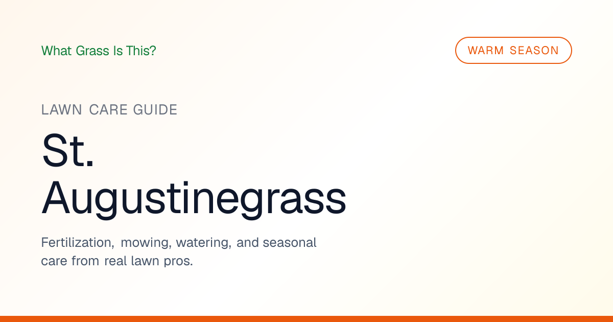 St. Augustine Grass: Complete Care Guide